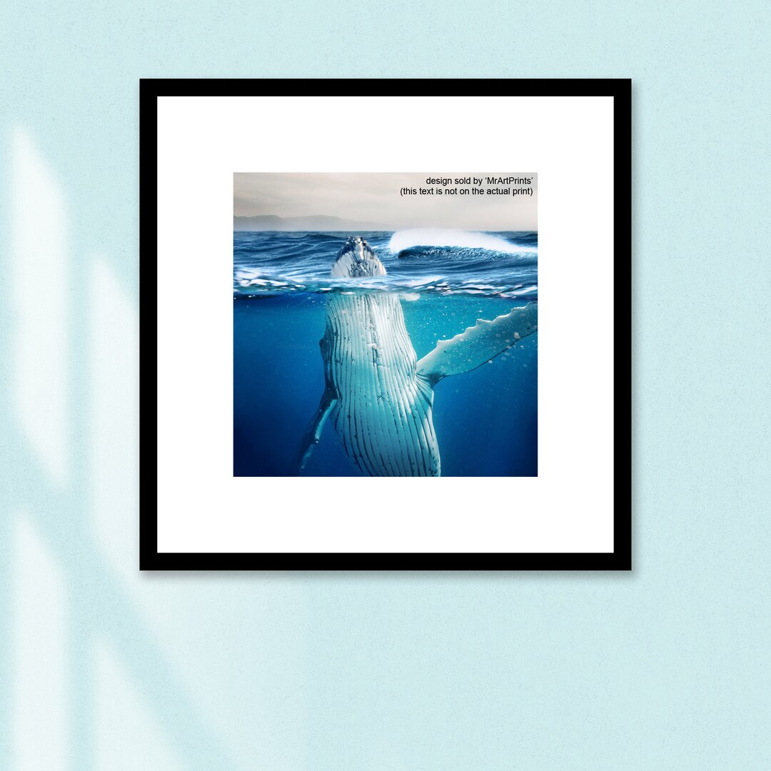 Whale LARGE FRAMED Underwater Cross Section Sea Sealife Ocean - Etsy