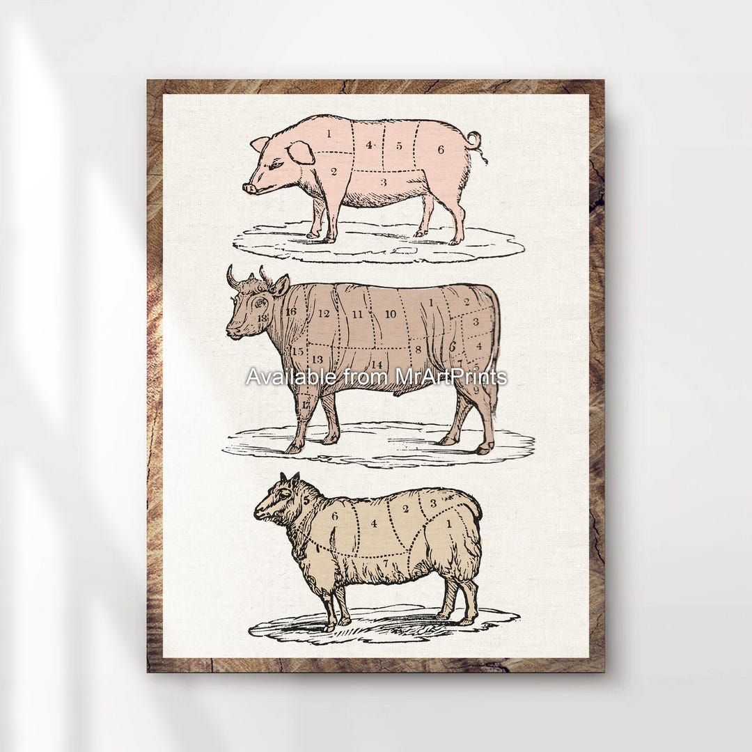 Vintage Butcher Beef Pork Mutton Meat Kitchen Art Print Poster Wall ...