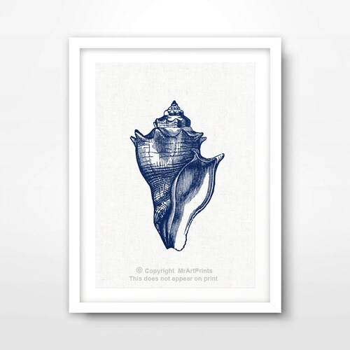 Blue Seashell Shell NAUTICAL ART PRINT Seaside Illustration - Etsy UK