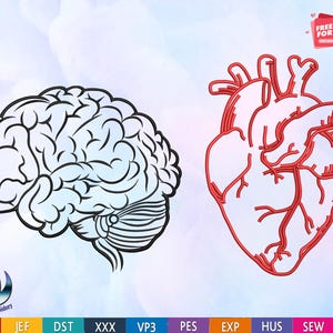 Anatomical Embroidery Design,5 Sizes 10 Formats,heart,brain,machine ...