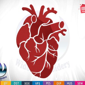 Anatomical Heart Machine Embroidery Design,5 Sizes 10 Formats,medical ...