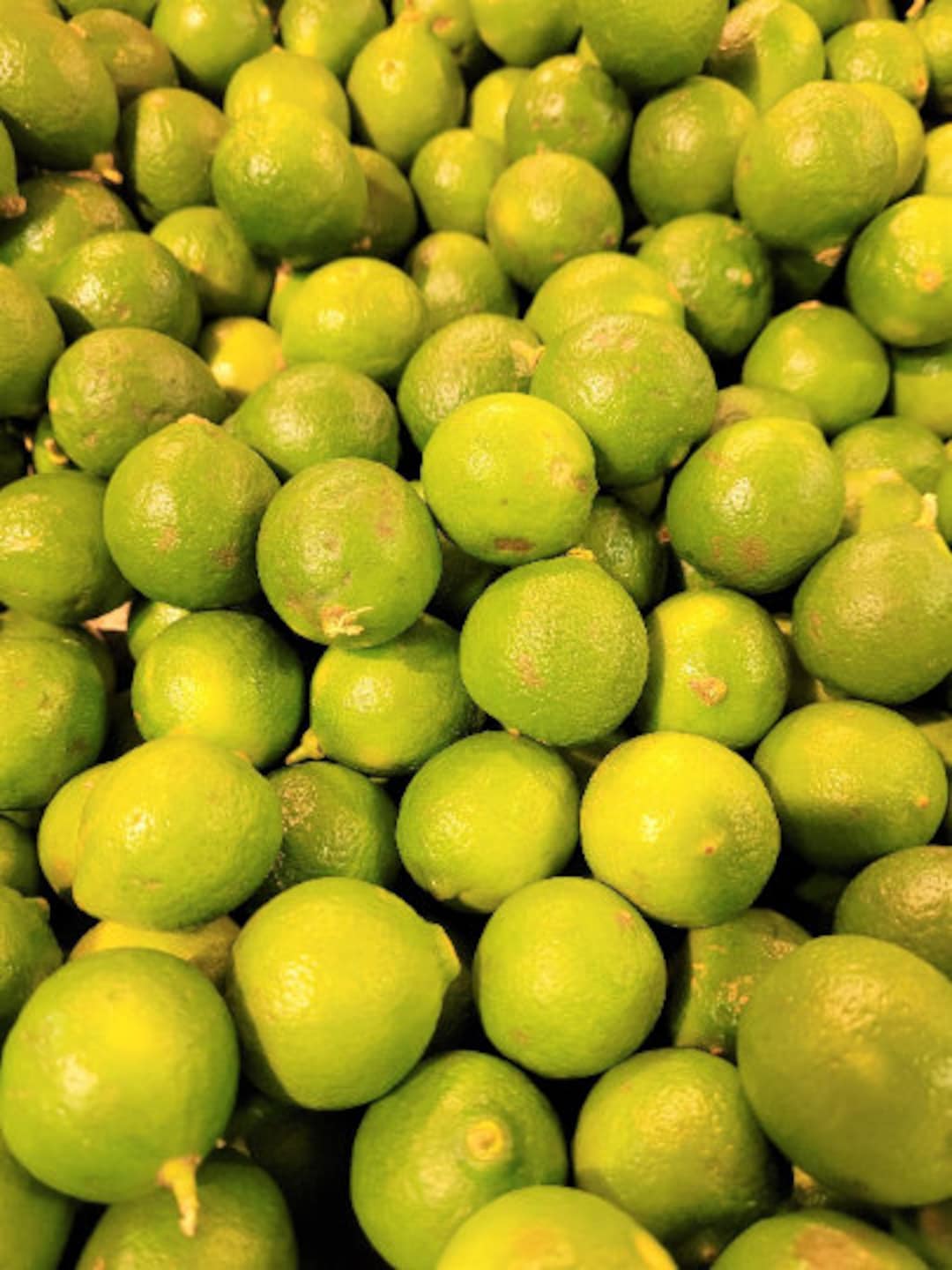 FRESH Whole Key Limes Fruit Choose Your Quantity - Etsy