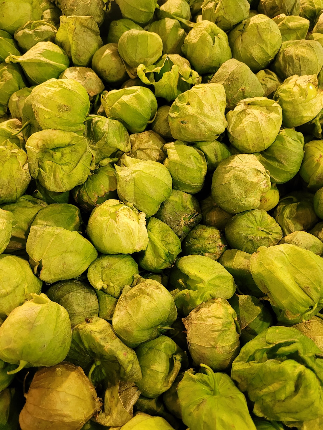 FRESH Whole Tomatillos | Mexican Husk Tomatoes - Etsy