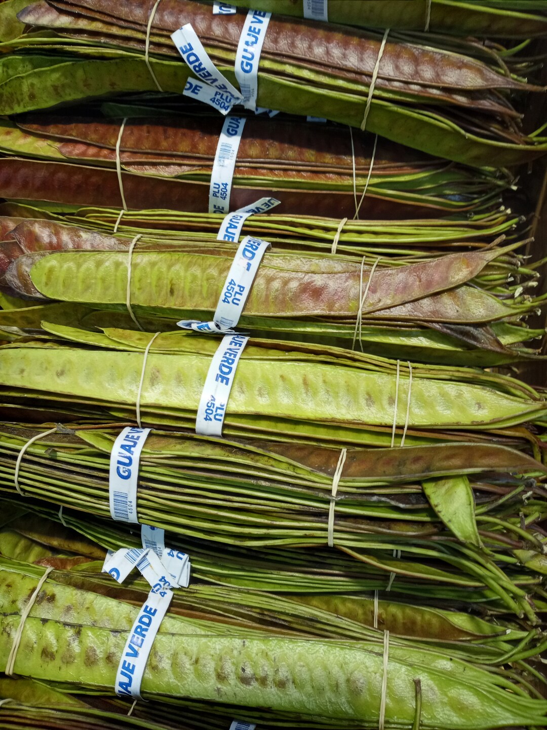 Fresh Whole Guaje Verde Beans Huajes Hauxya Pods Seeds - Etsy