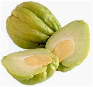 Chayote Squash Info