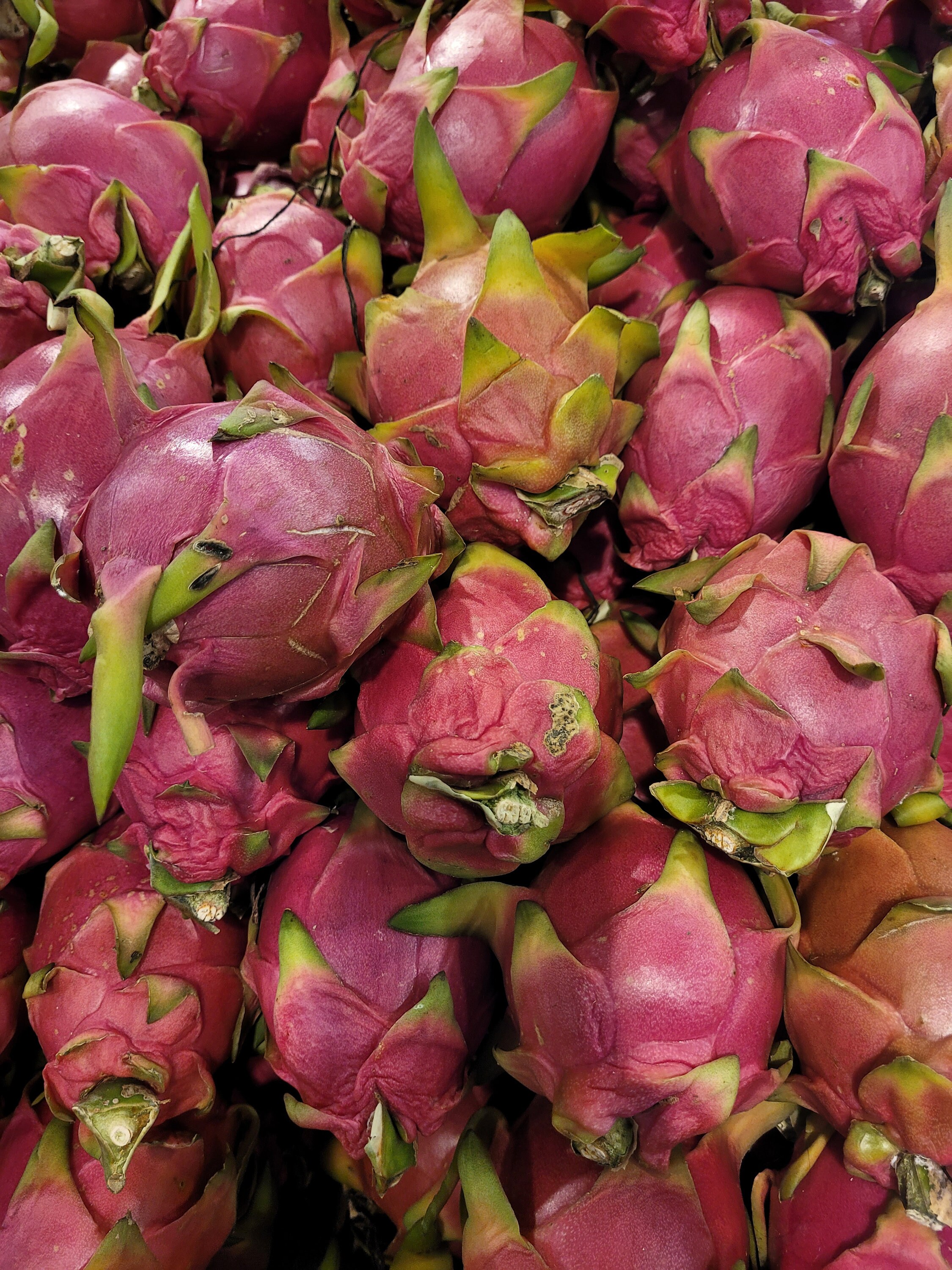 FRESH Whole Dragonfruit Pitahaya Pink Tropical Fruit - Etsy