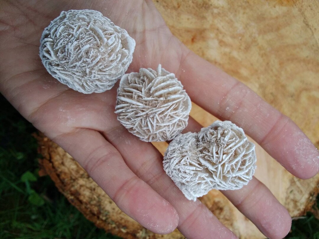 Petrified Frosted Desert Sand Rose Natural 1.5 - Etsy