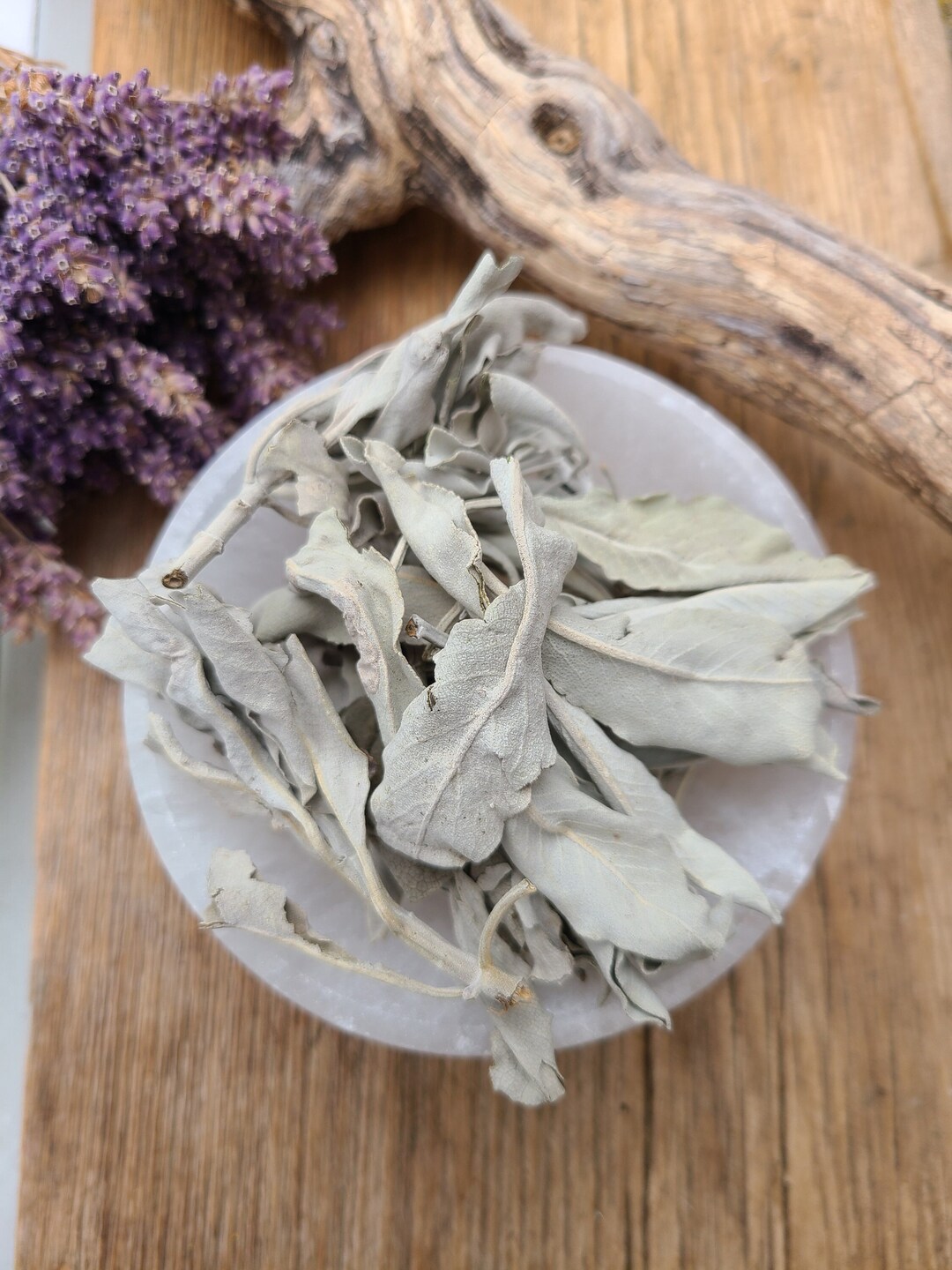 WHITE SAGE, Whole Dried - Salvia Apiana | 0.5, 1, 2 Oz Sealed Bag ...