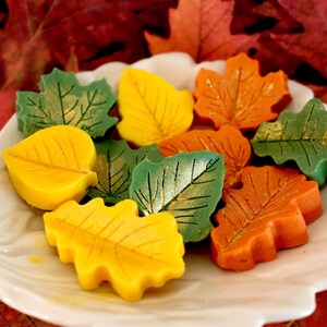 Fall Leaves Soap - Etsy