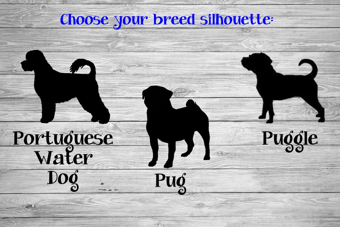 Portuguese Water Dog / Pug / Puggle Custom Personalized Name - Etsy