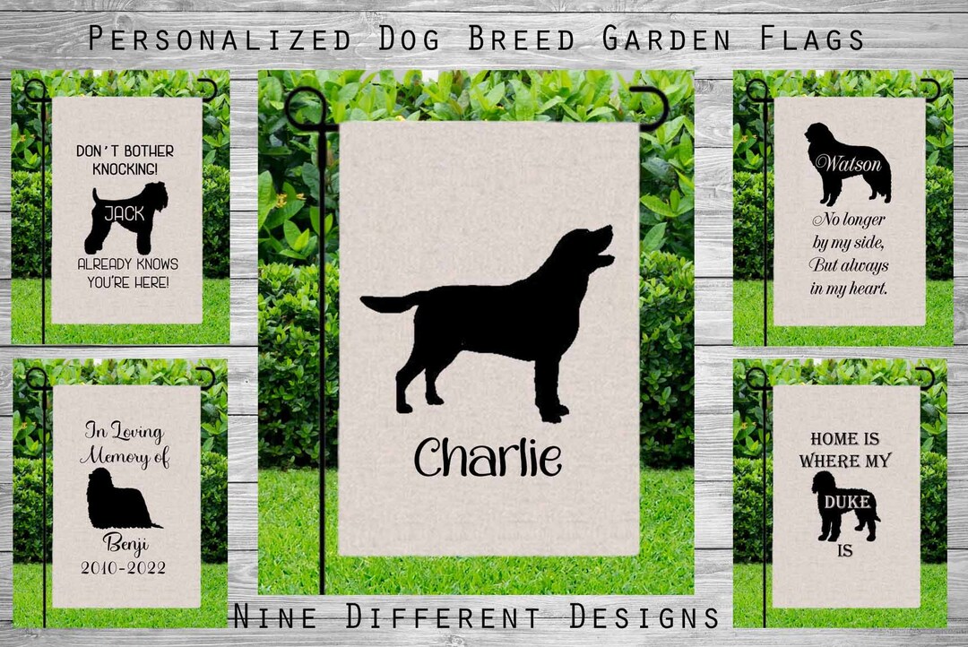Kerry Blue Terrier Komondor Kuvasz Labradoodle Labrador Retriever ...