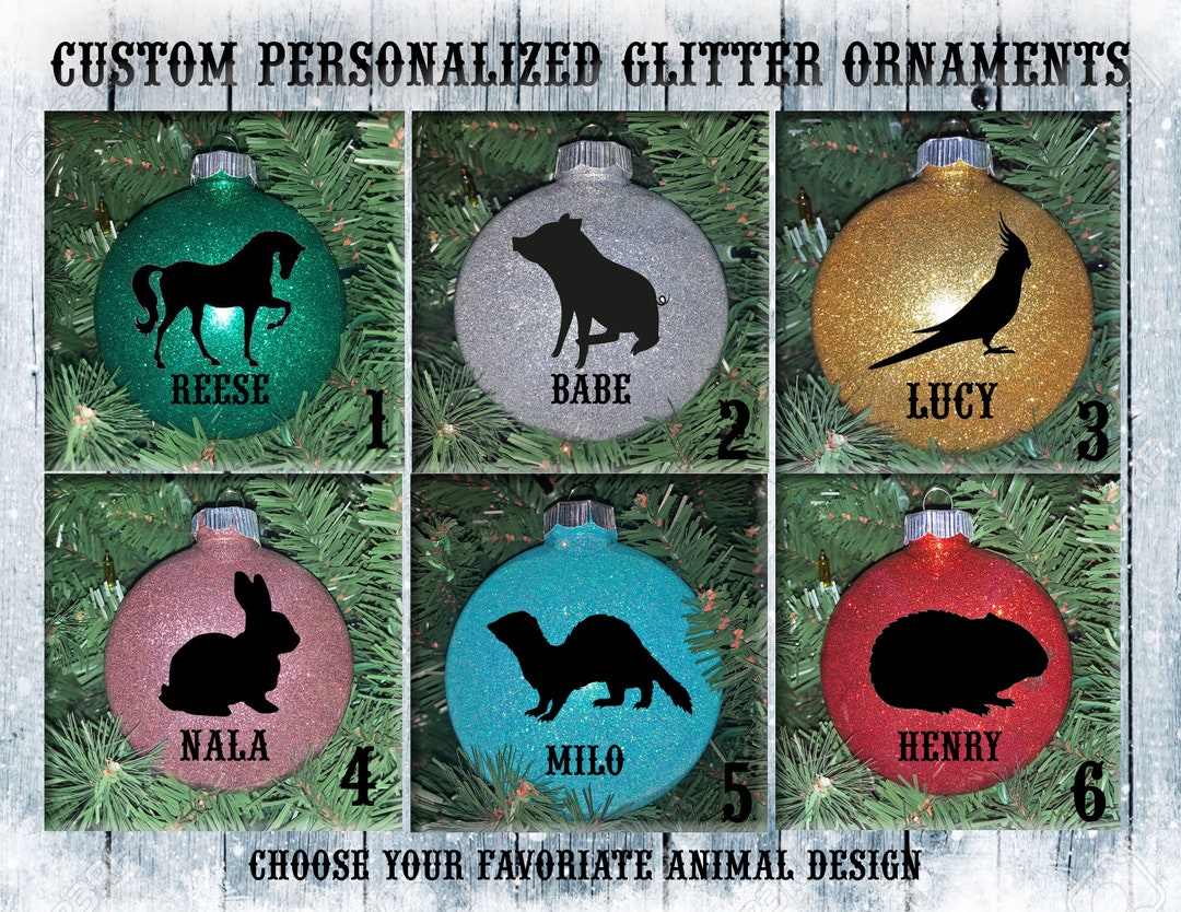 Horse / Potbelly Pig / Cockatiel Bird / Rabbit / Ferret / Hamster ...