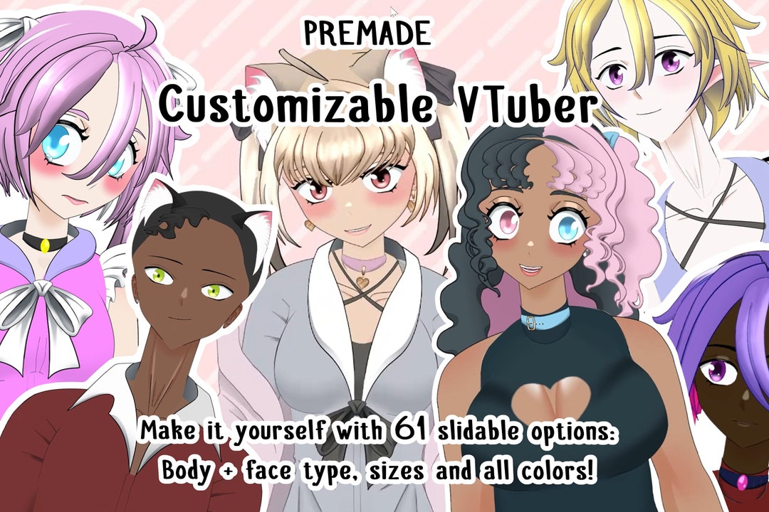 Premade Fully Rigged Vtuber and Customizable LIVE2D Half Body Model ...