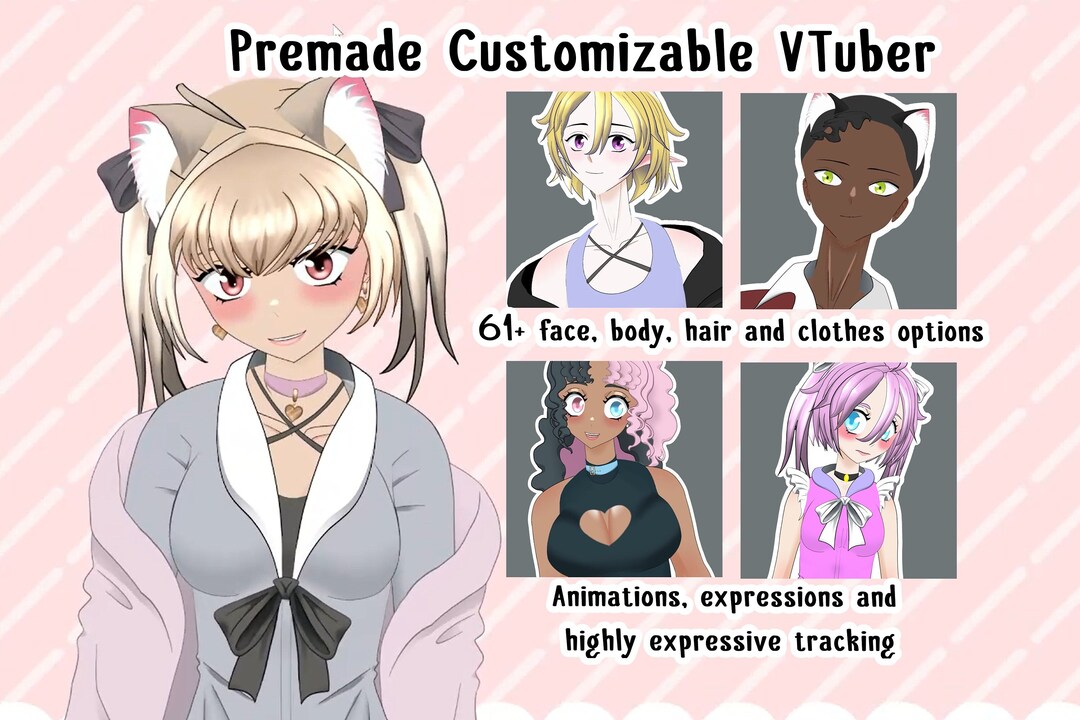 Premade Fully Rigged Vtuber and Customizable LIVE2D Half Body Model ...