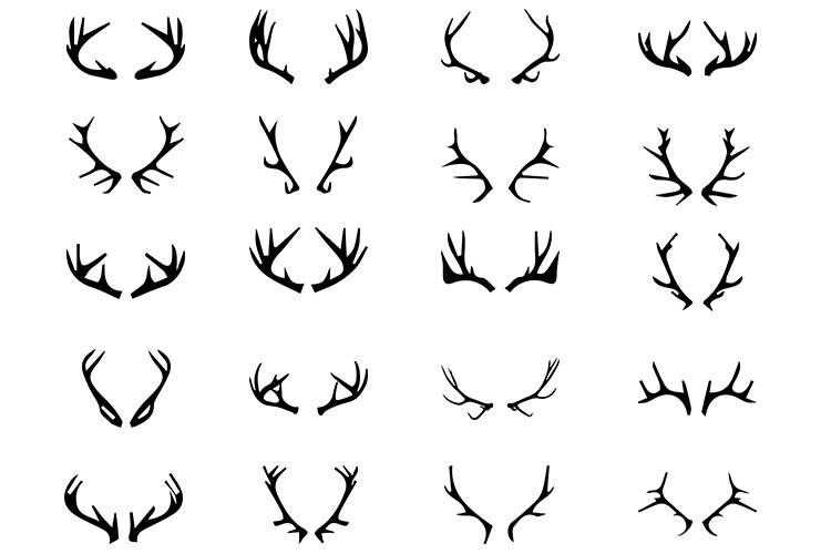 Deer Antler Clipart, Deer Antler Clip Art, Deer Antlers, Deer Clipart ...