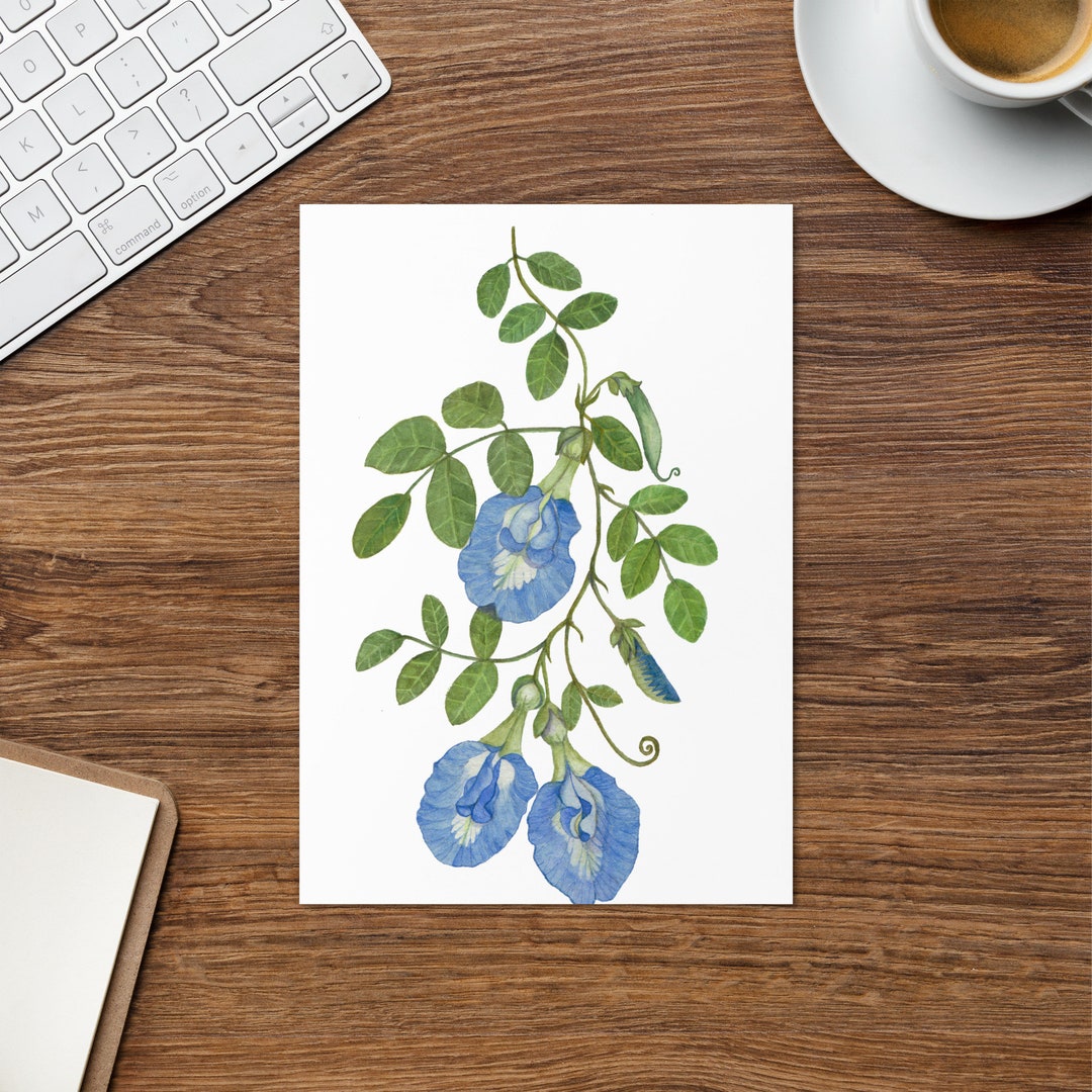 Butterfly Pea Botanicals Watercolor Original Print - Etsy