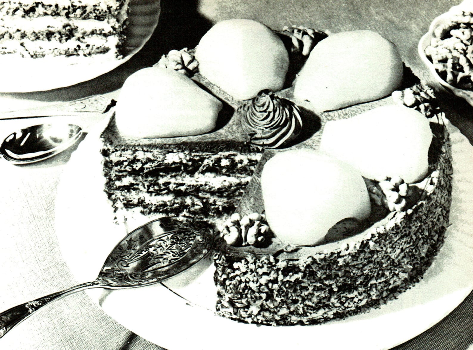 Vintage 1950s Viennese Gateaux and 2 FREE Recipes for You to - Etsy