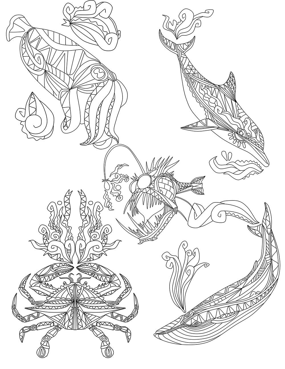 20 Unique Marine Life Adult Coloring Pages - Instant PDF Download ...