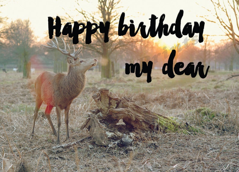 Happy Birthday My Dear - Printable 5 X 7 Inch Card, Featuring a Deer ...