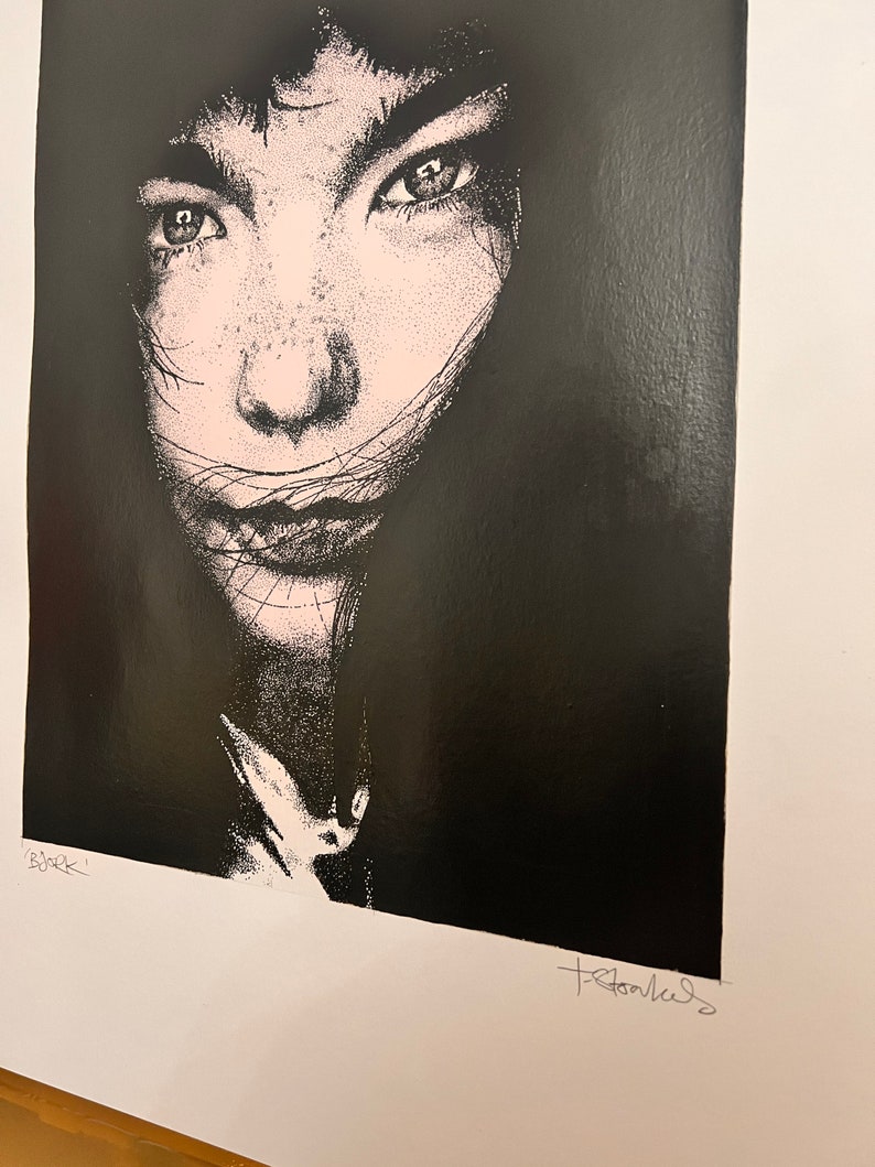 Bjork - Hand Drawn, Paint and Pointillism 29x36cm - Etsy
