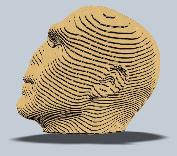 Voldemort Head Cardboard Slice - Etsy