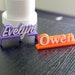 Desk Name Plate, 3D, Multi-color, Custom Made, Desk Accessories, Office ...