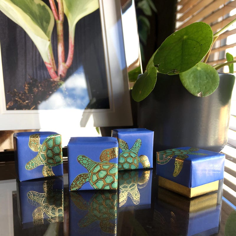 Tortoise Gifts - 60+ Gift Ideas for 2025