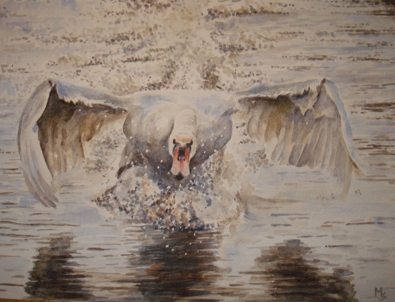 Triptych Birds, Watercolor, Swan, Tern, Barnacle Goose, Wunderkammer ...