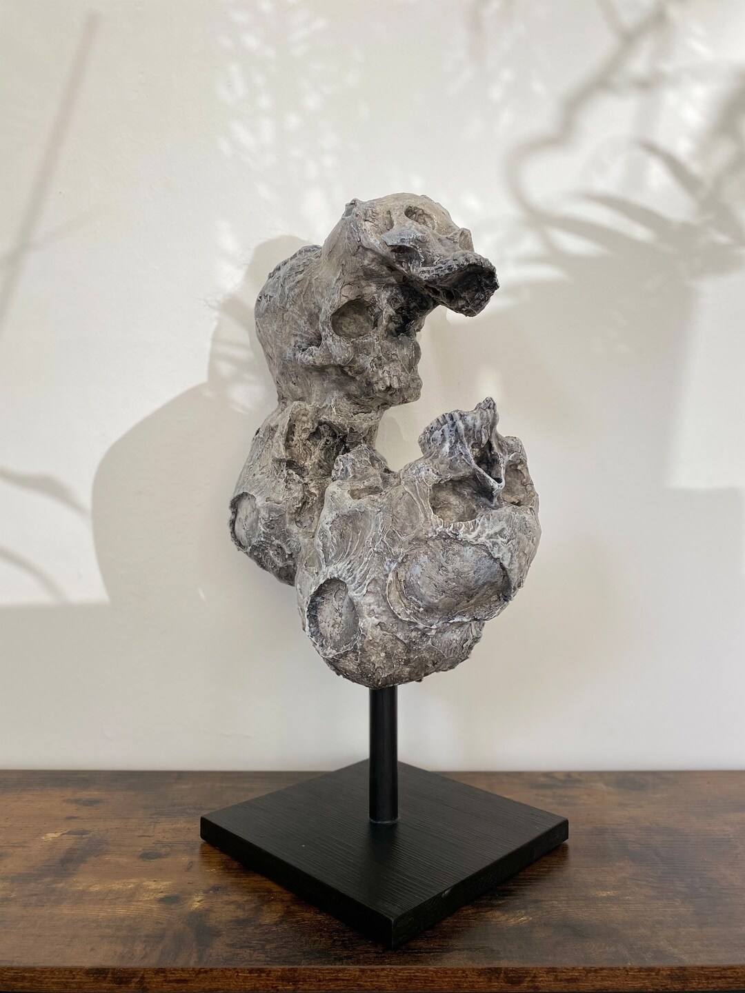 The Moon Skull - Etsy