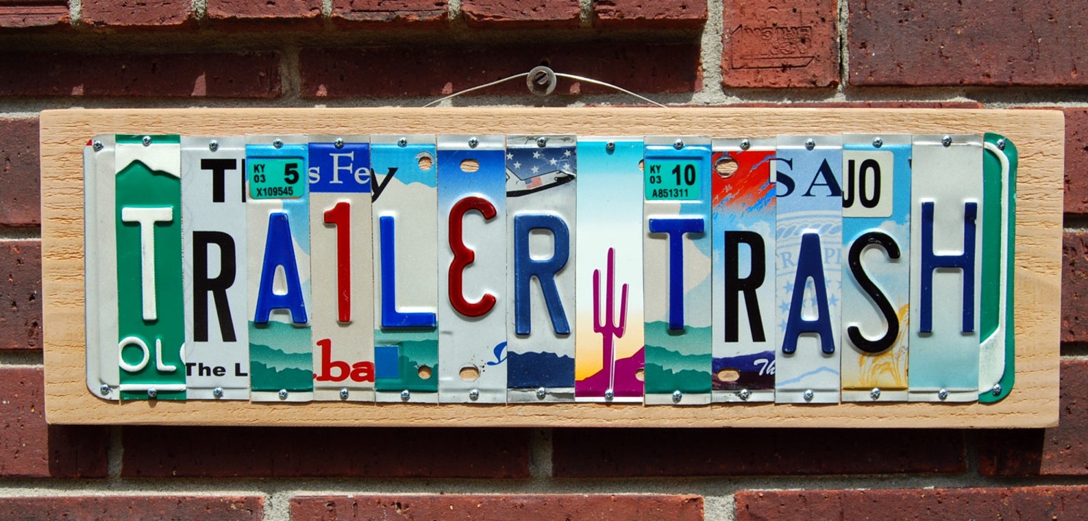 TRAILER TRASH Custom License Plate Sign Camping Sign Funny - Etsy
