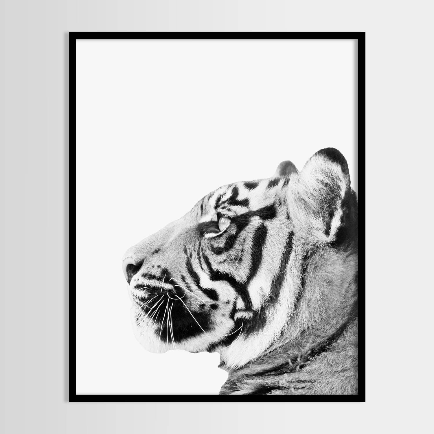Minimalist Tiger Drawing