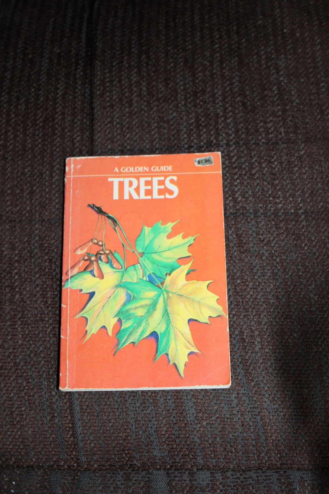 The Golden Guide -trees Copyright 1956 - Etsy