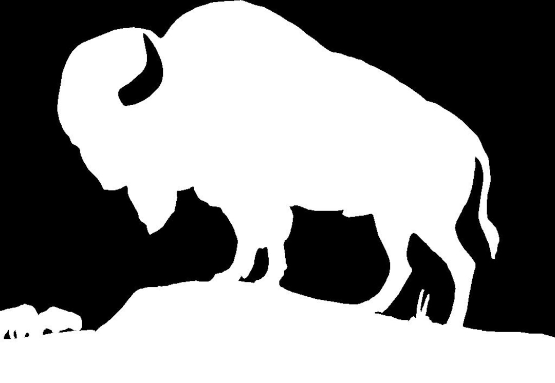 Buffalo Overlooking His Herd Car Truck Van Window or Bumper Sticker ...