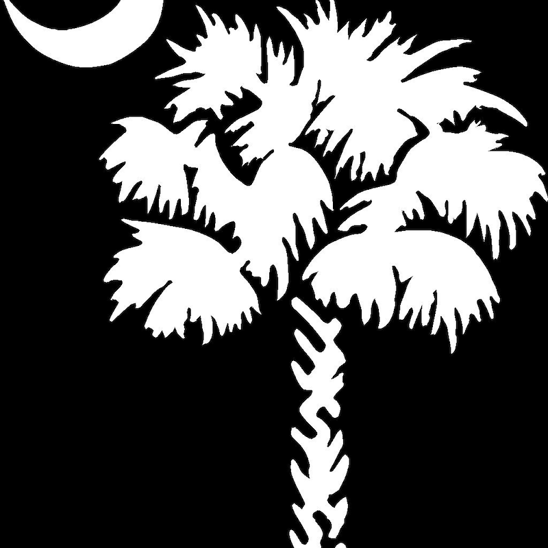 South Carolina Decal - Etsy