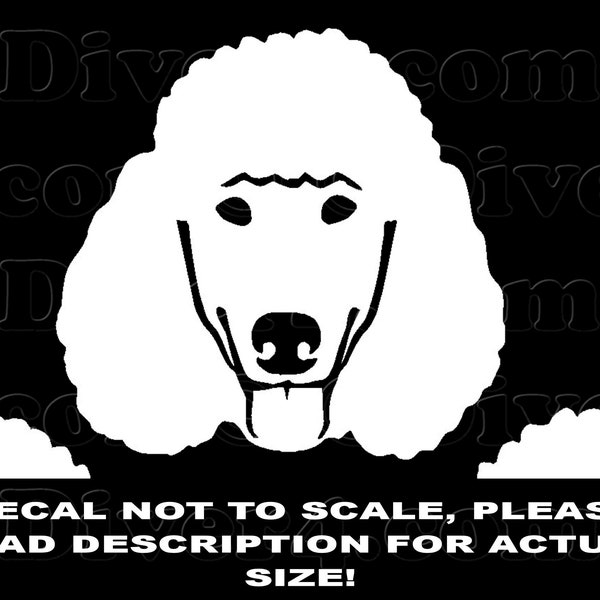 Poodle Sticker - Etsy