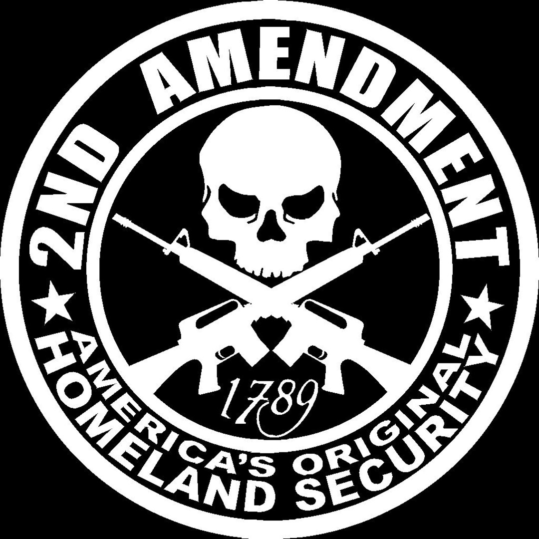 2nd Amendment America's Original Homeland Security Custom Car Truck Van ...