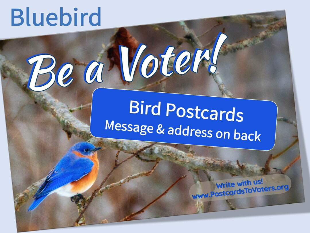 Bird "be a Voter" HALFBACK Postcards - Cheerful Cards to Encourage ...