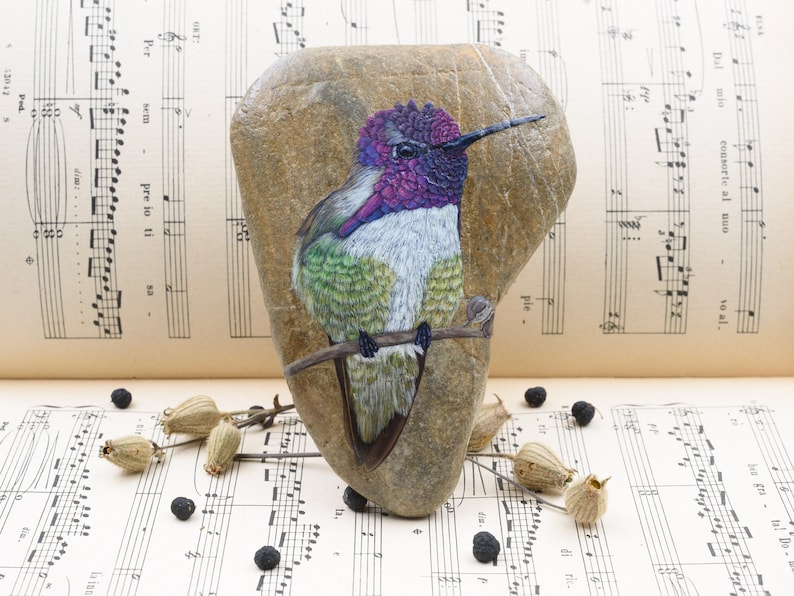 Hummingbird Painting, Painted Stone, Rock Art - Etsy