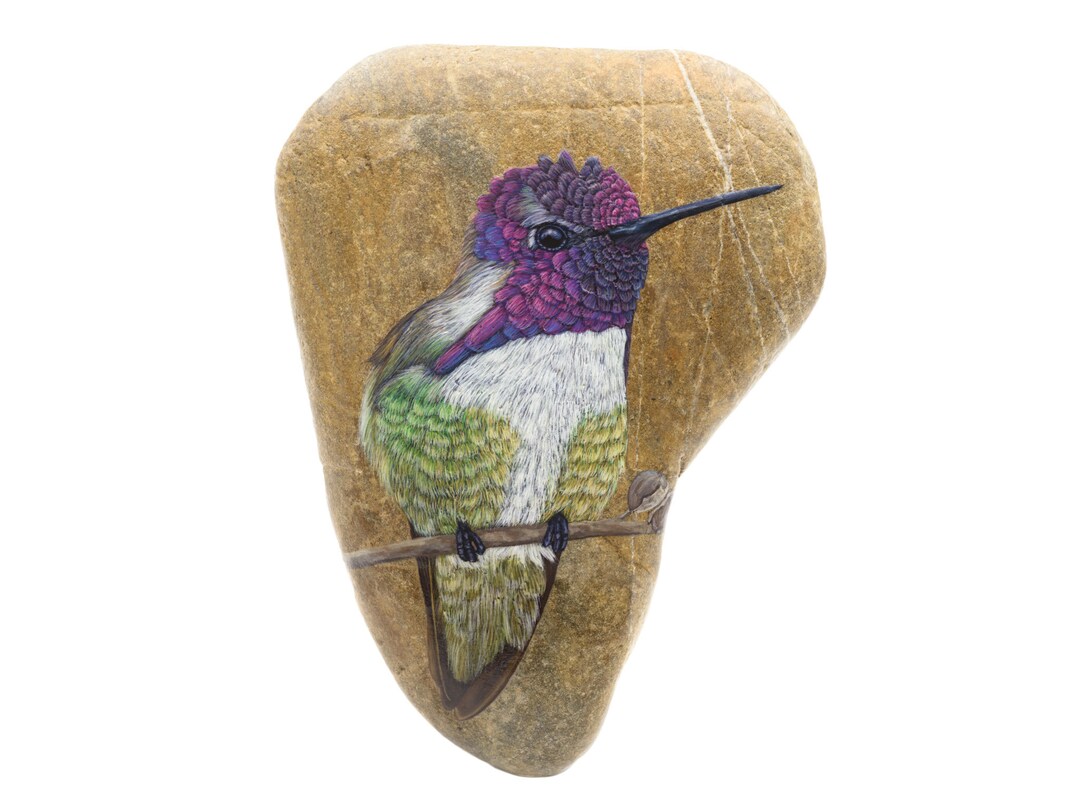 Hummingbird Painting, Painted Stone, Rock Art - Etsy