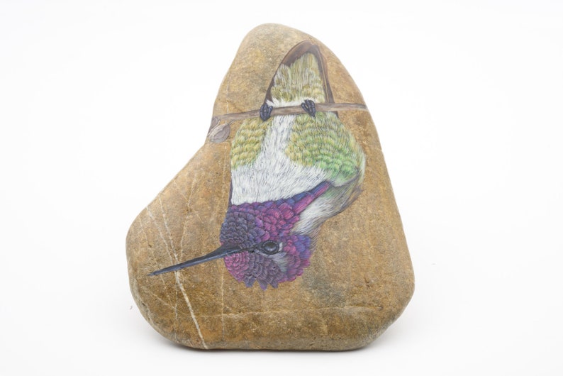 Hummingbird Painting, Painted Stone, Rock Art - Etsy