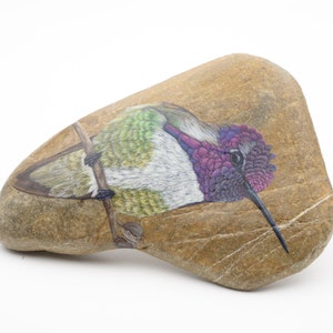 Hummingbird Painting, Painted Stone, Rock Art - Etsy