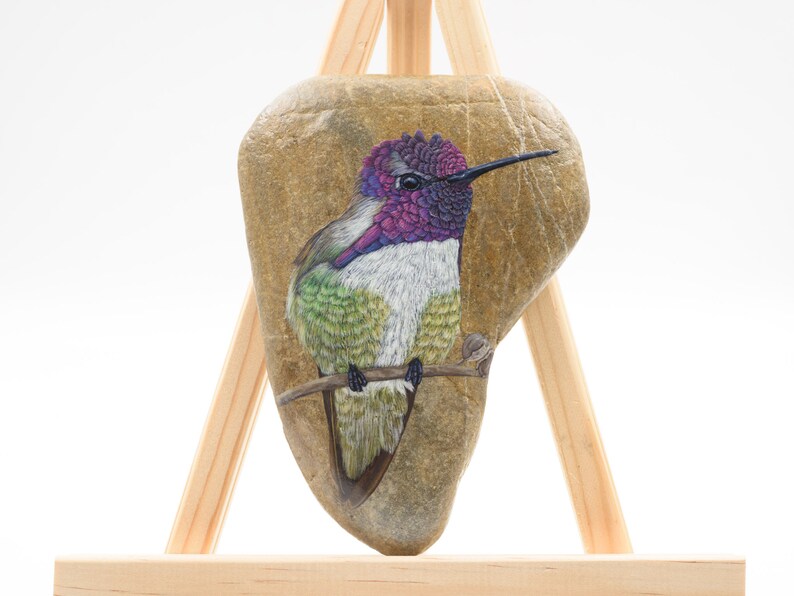 Hummingbird Painting, Painted Stone, Rock Art - Etsy