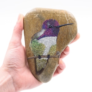 Hummingbird Painting, Painted Stone, Rock Art - Etsy