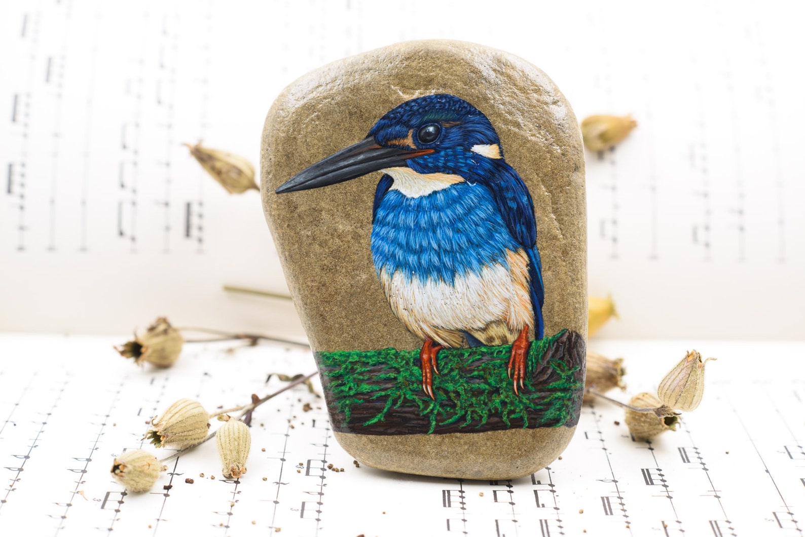 Kingfisher Art, Painted Stone, Rock Art, Birds Painting - Etsy