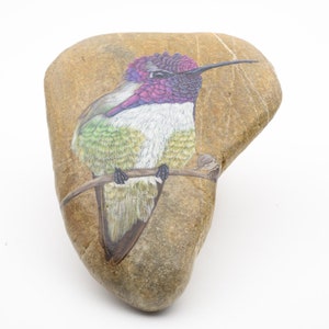 Hummingbird Painting, Painted Stone, Rock Art - Etsy