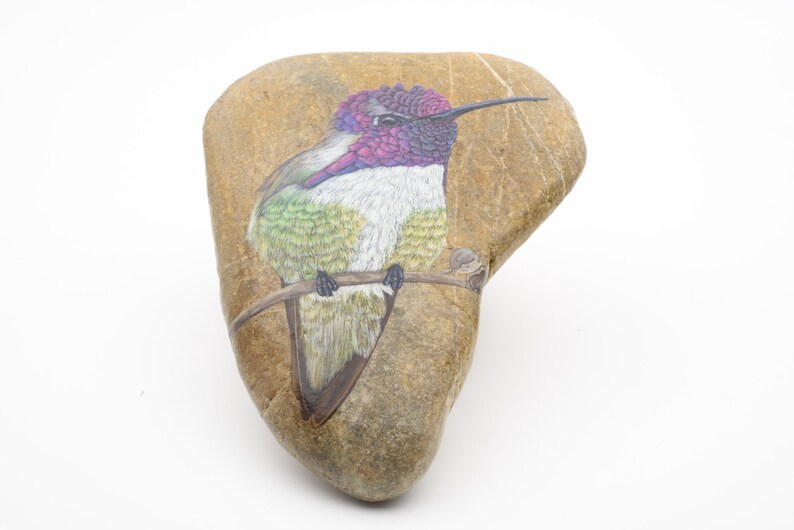 Hummingbird Painting, Painted Stone, Rock Art - Etsy