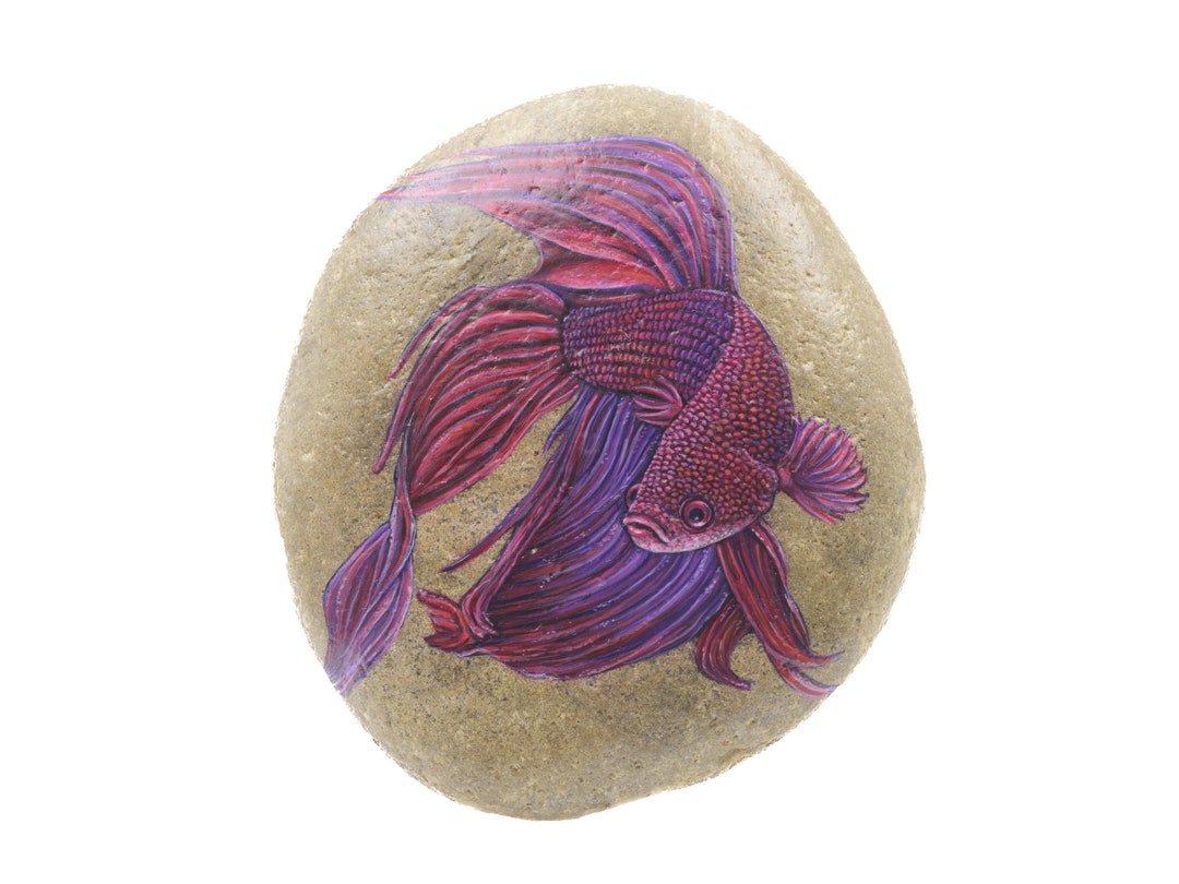 Betta Fish, Painted Stone, Fish Painting, Aquatic Art - Etsy