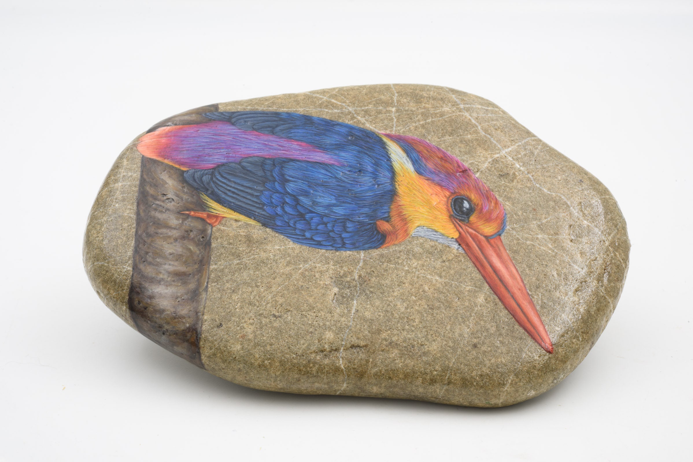 Kingfisher Art Painted Stone Rock Art Birds Painting | Etsy