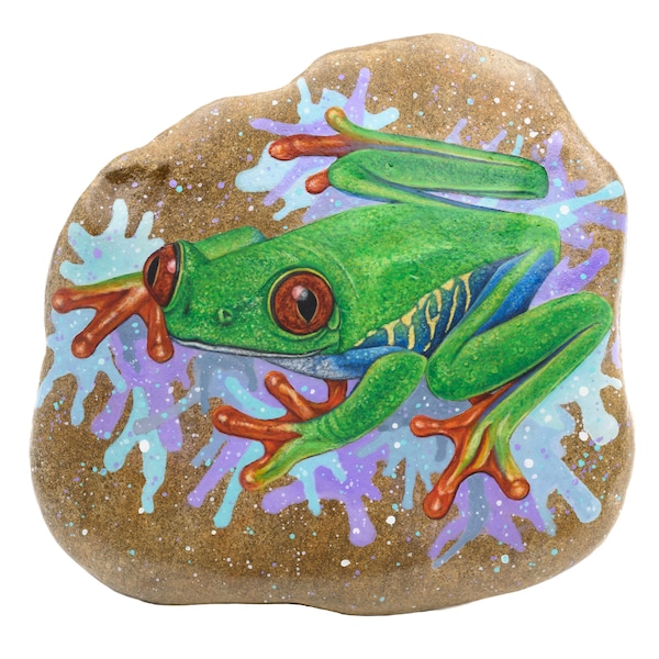 Painted Frog Rock - Etsy