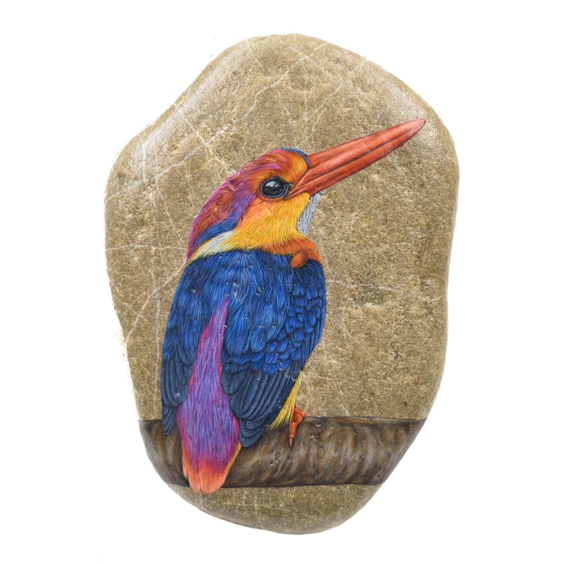 Painted Rocks Birds - Etsy